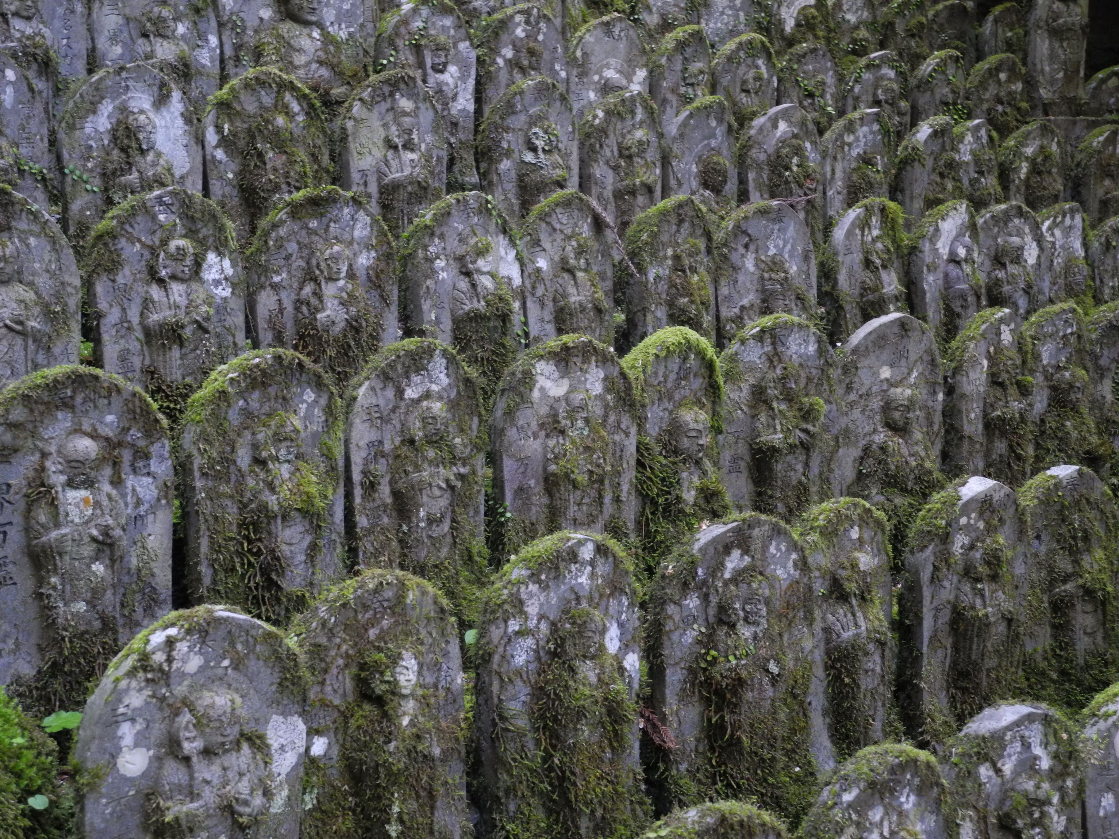 Pilgrim on Kuma-kogen plateau. | ORANGEPLANET 髙野山岳ガイド事務所